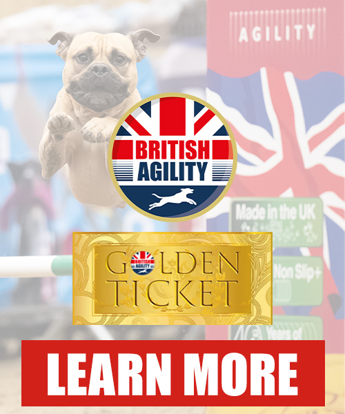 British Agility Championships
